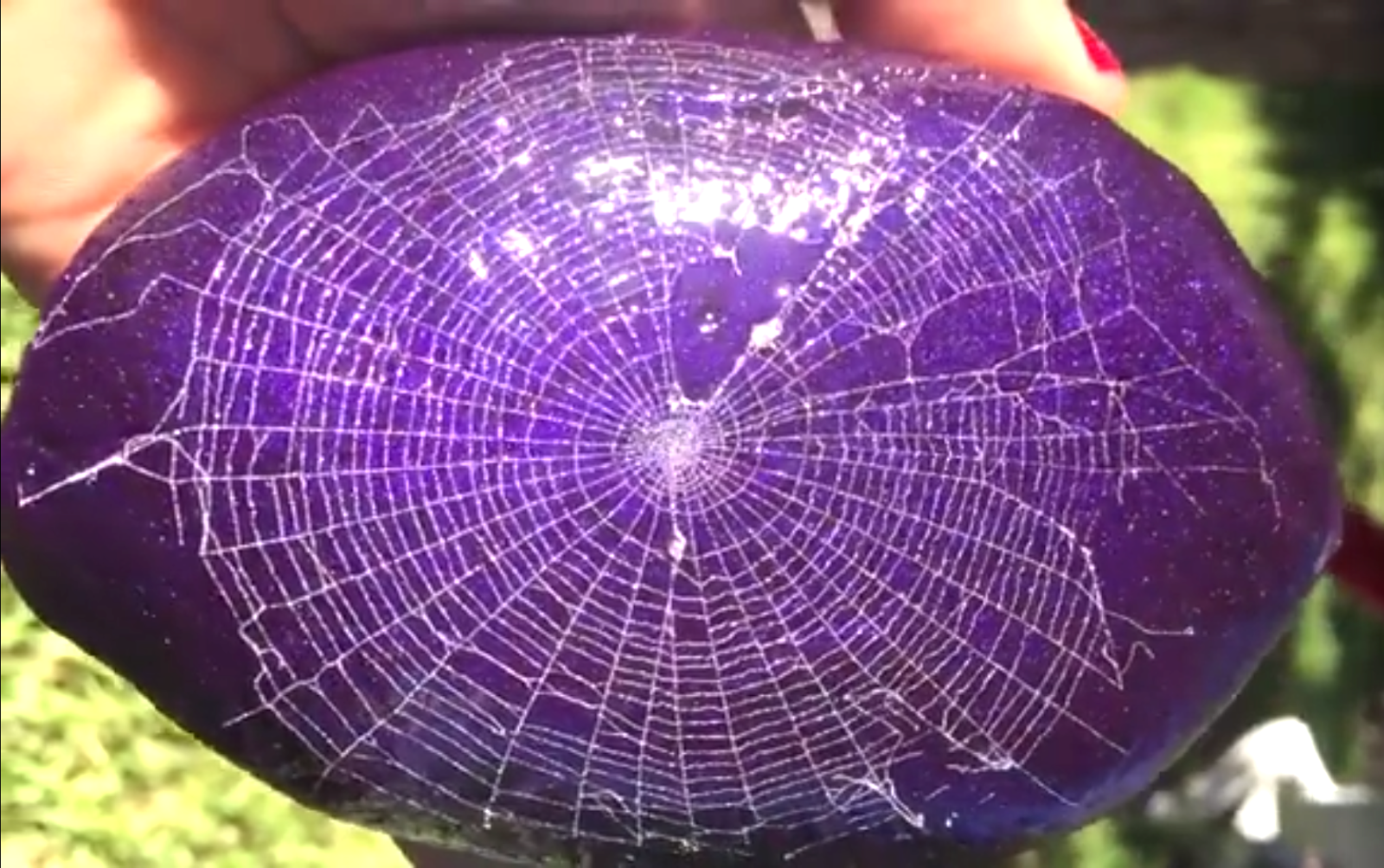 Genuine Spiderweb Rocks - I Love Painted Rocks