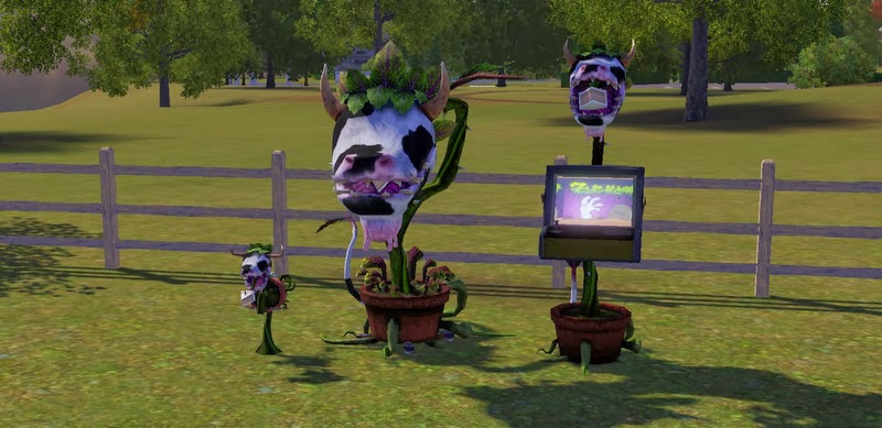 Sims World by WhiteRose: Laganaphyllis Simnovorii („Krowo-kwiat”)