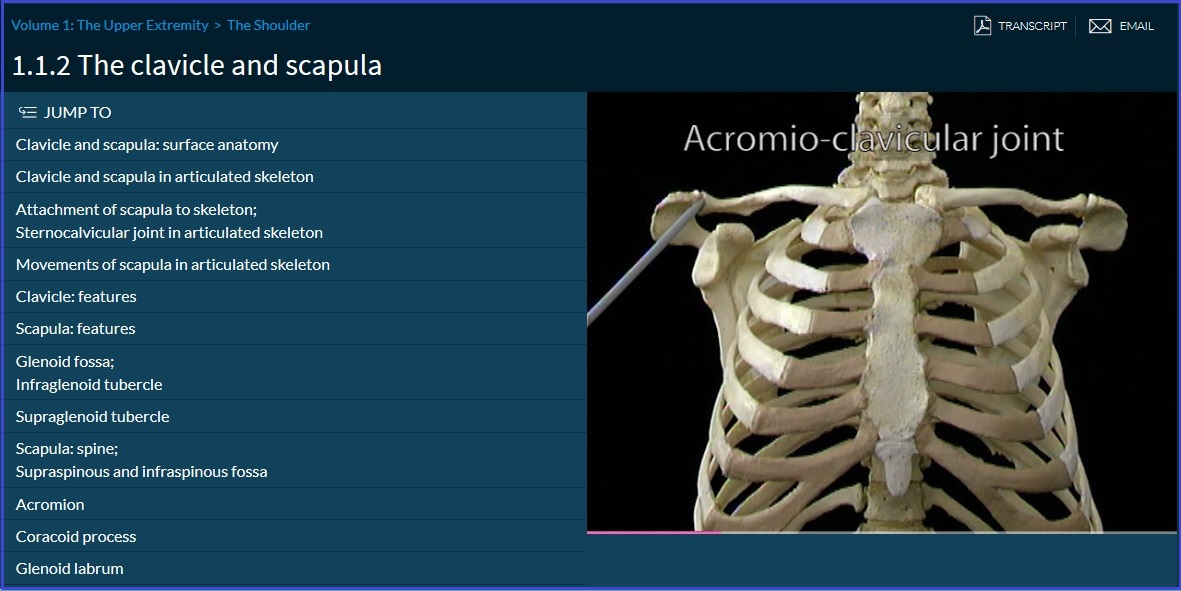 Centro de Documentación y Sistemas de Información: ACLAND ANATOMY