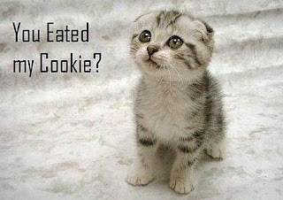 Allison and Bridget Cullen #sorrywerenotsorry