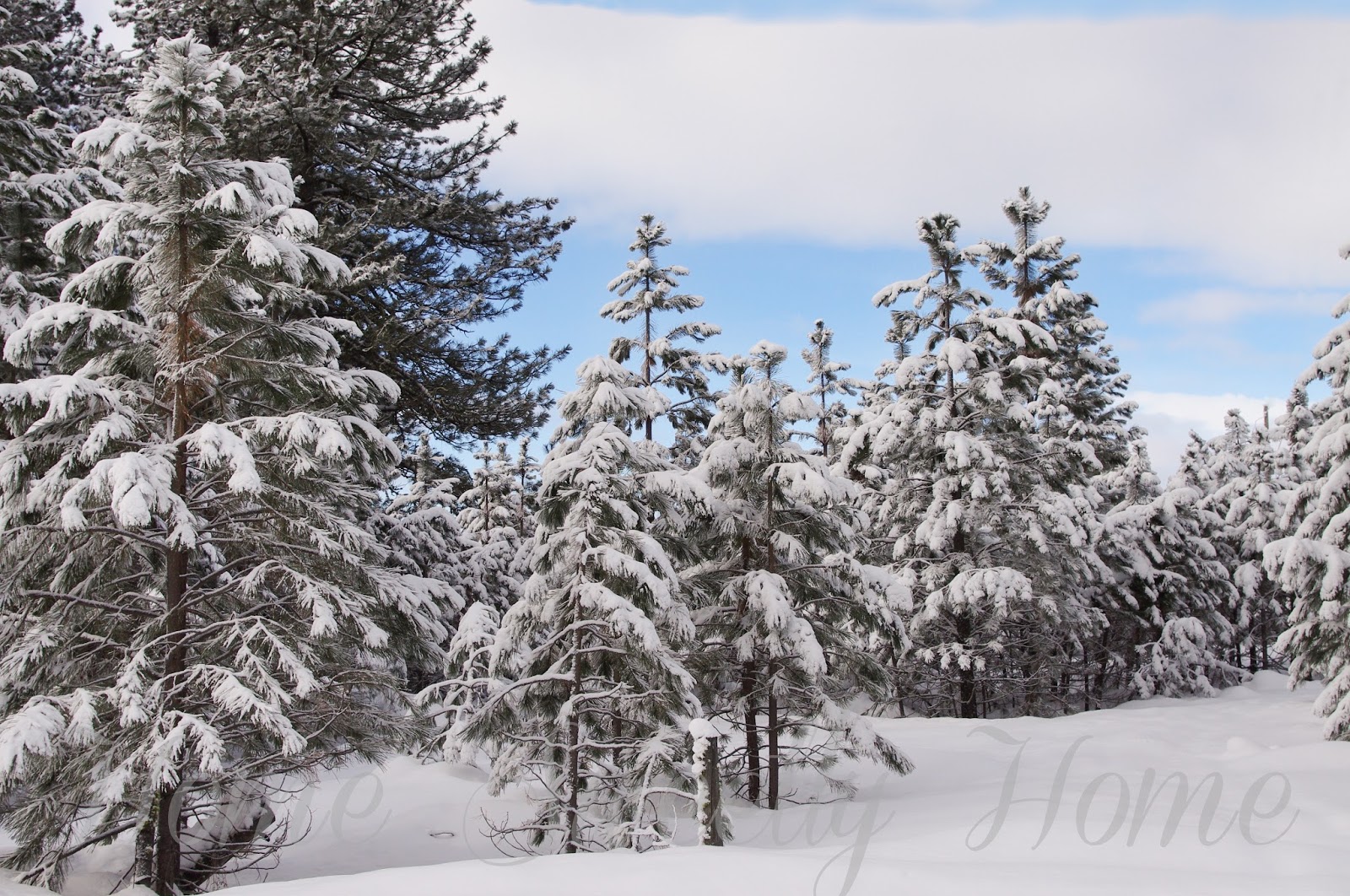 Home Sweetly Home: Travel Blog ~ McCall, ID // Winter Vacation 2016