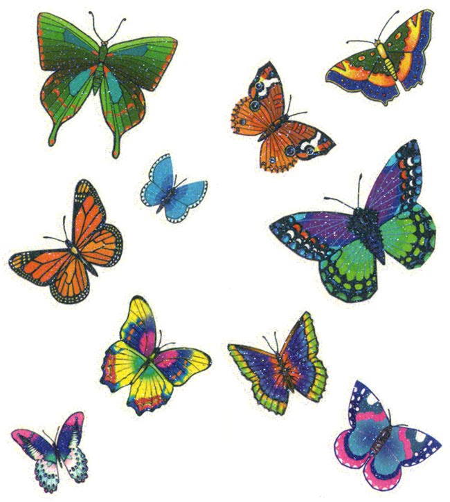 EXPOSE HOMELESSNESS: TEN BUTTERFLIES