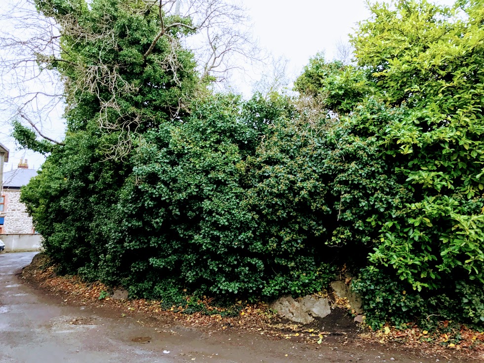 Patrick Comerford: Finding the site of Bray Castle and a terrace of ...