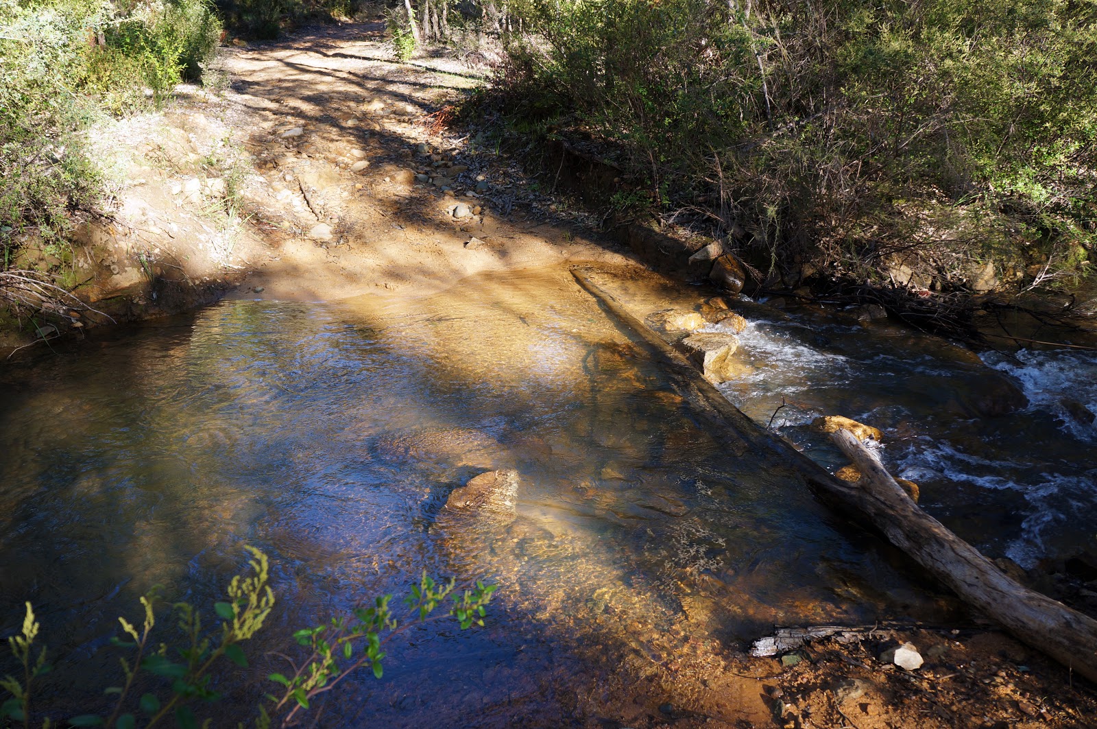Piesse Gully Loop (Kalamunda National Park) ~ The Long Way's Better
