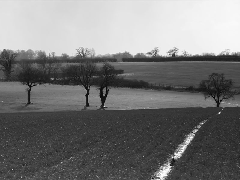 beautiful wallpaper: Black and White Field Wallpaper