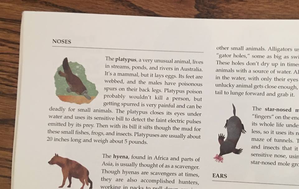 Homeschool Happenings: What Do You Do With A Tail Like This?