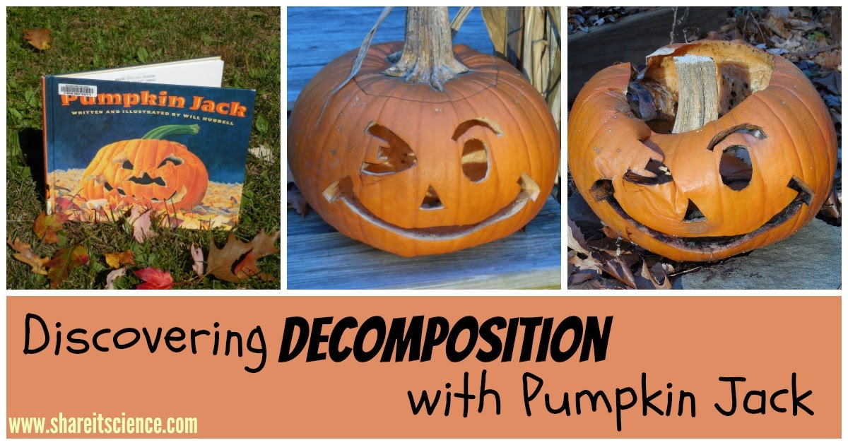 Share it! Science : Discovering Decomposition with Pumpkin Jack