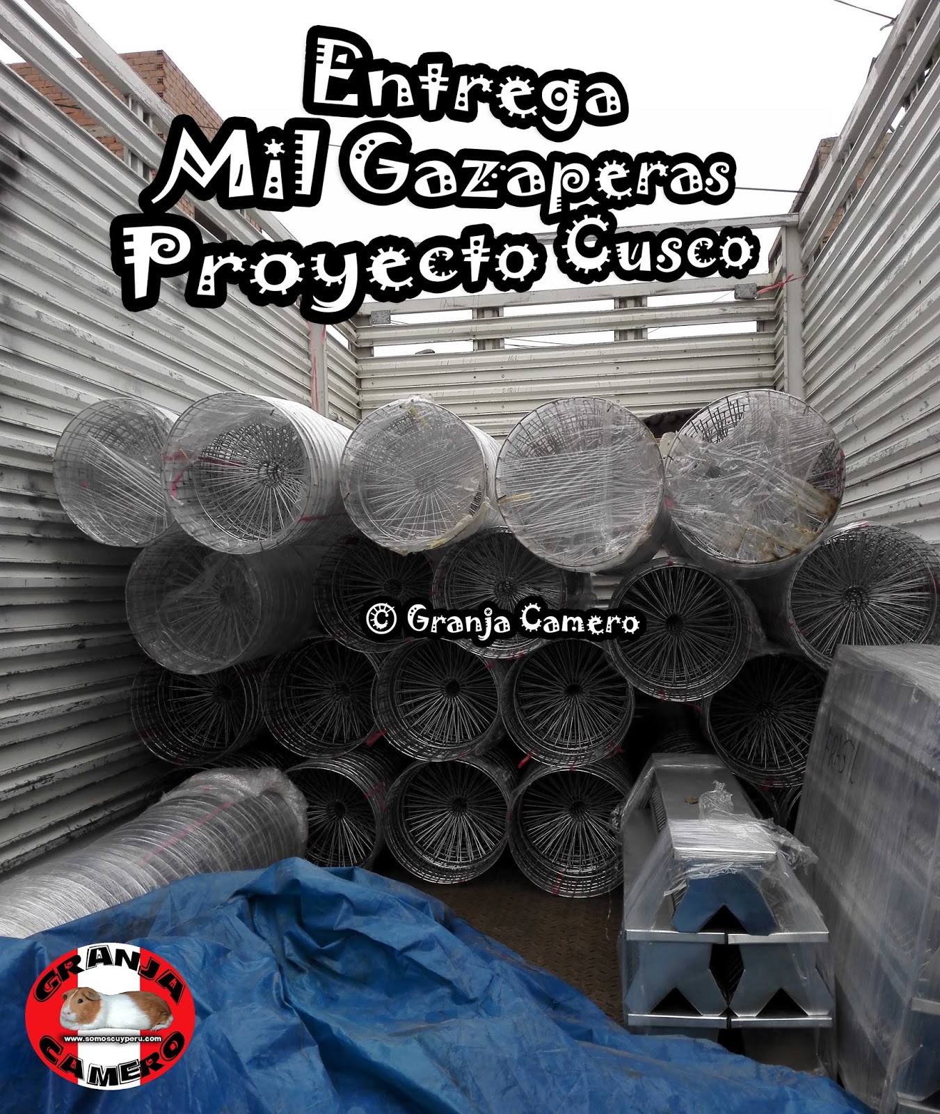 GAZAPERAS PARA CUYES ~ SOMOS CUY PERU