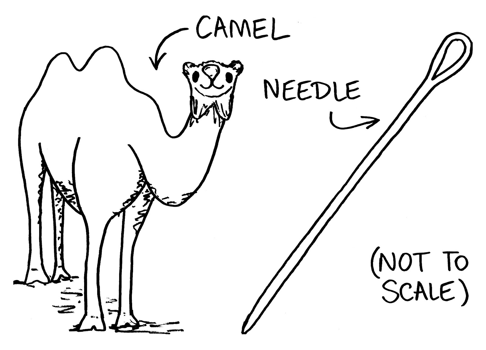 Blog of the Dormition: A Needle is a Needle and a Camel is a Camel.