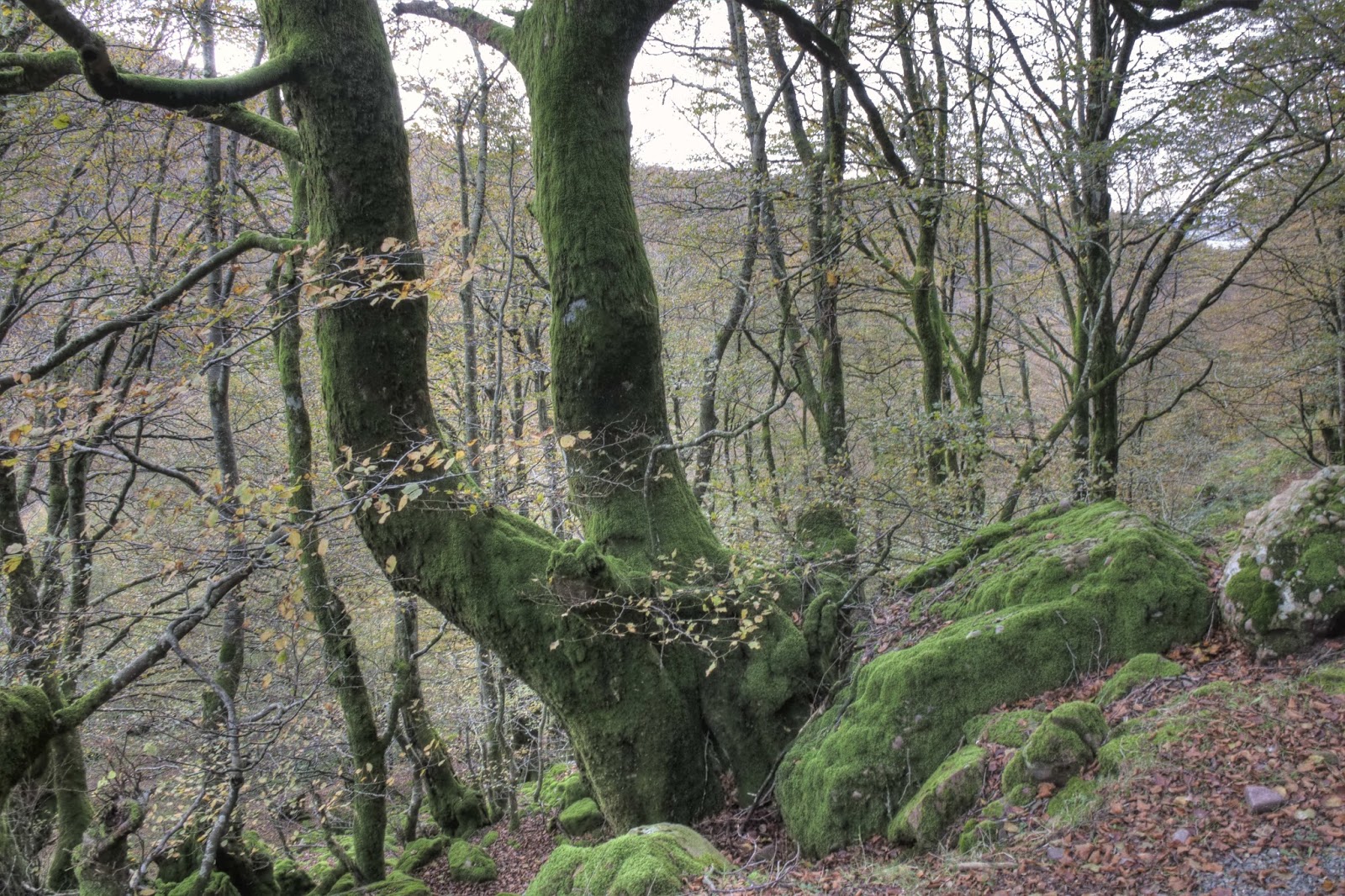Mis fotografías: Ermita de Santa María de Belate (Navarra): 07.NOV.2013