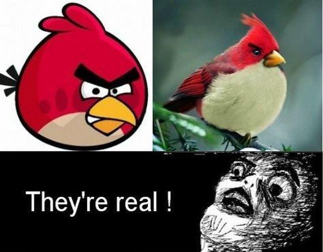 Wallpapers and Latest News From Facebook: Angry Birds And Troll ...