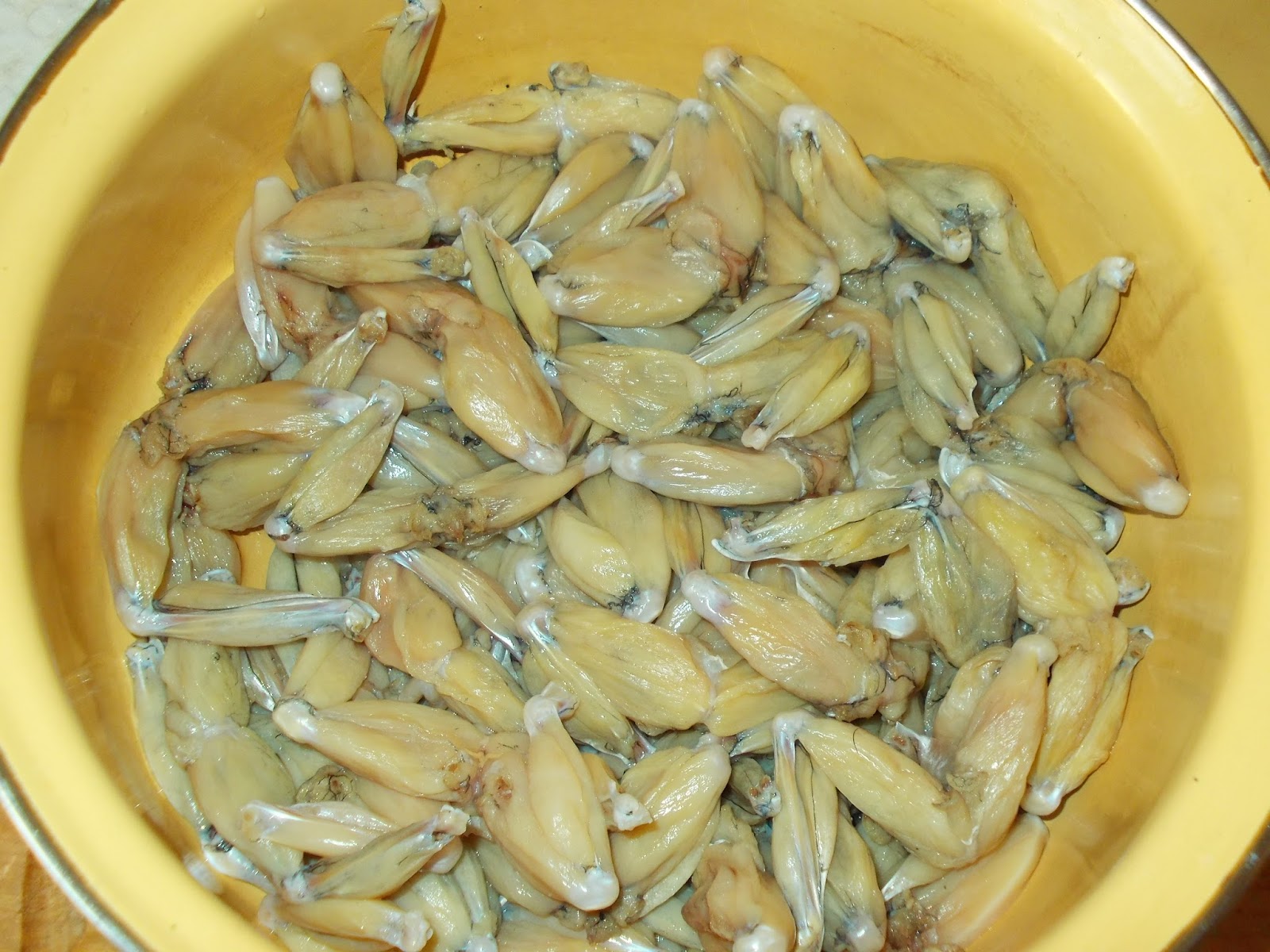 Retete Culinare pentru Meniul Zilei : Pui de baltă pane