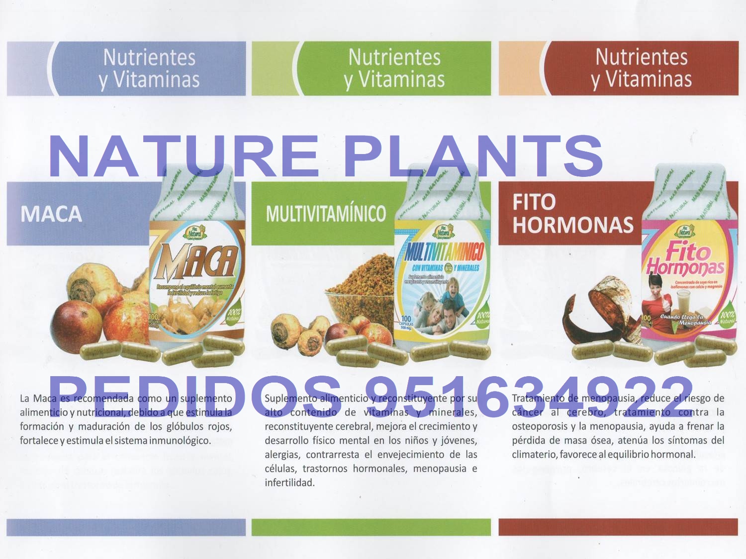 MAS NATURAL CATALOGO CAPSULAS