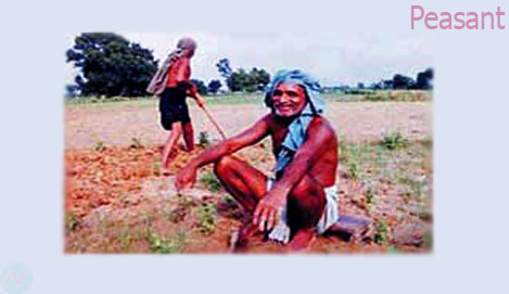 Learn 87 Occupations Name with Necessary Vocabulary & Pictures ...