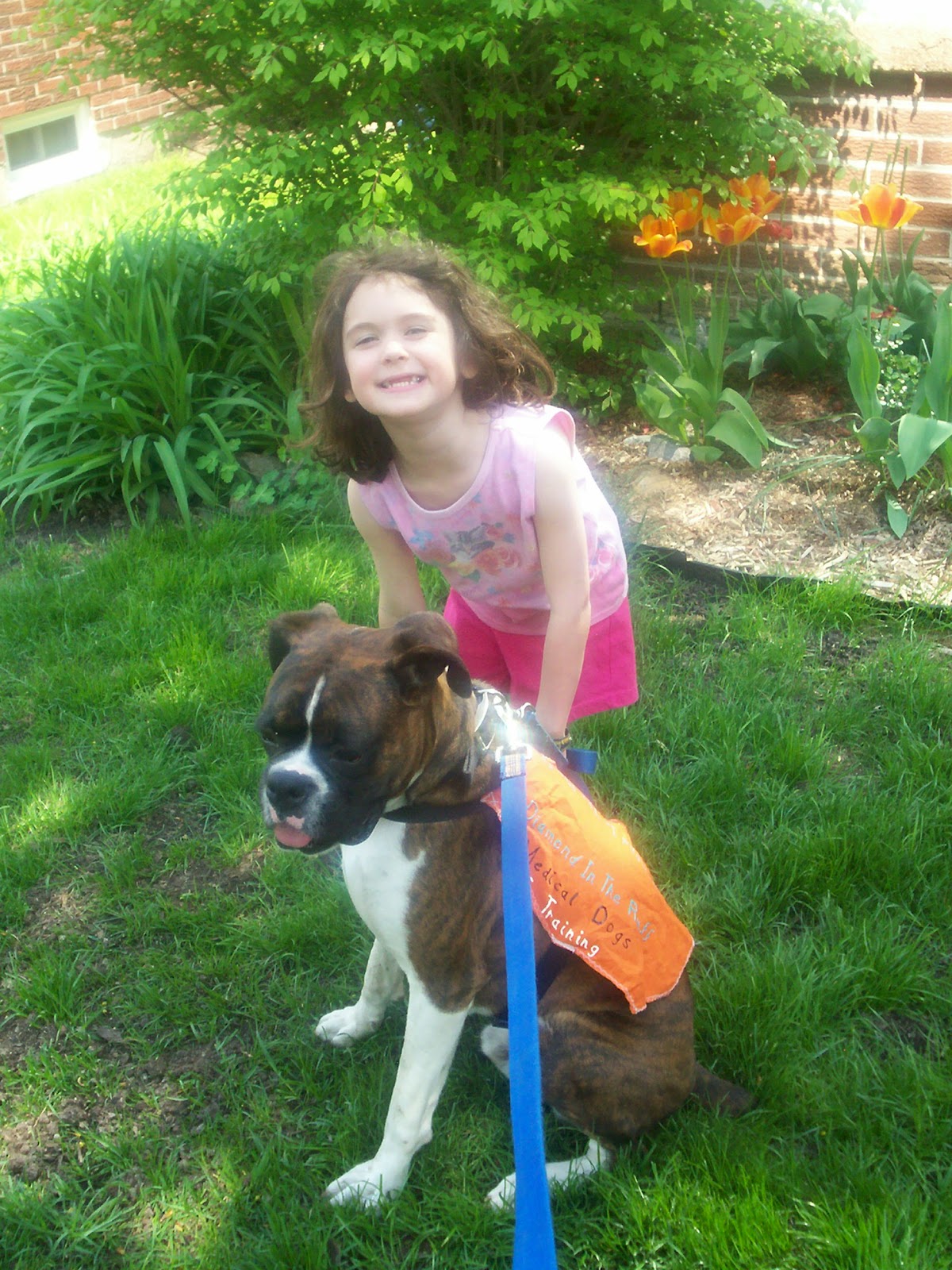 Tales From An Autistic Family: Autism and Animals