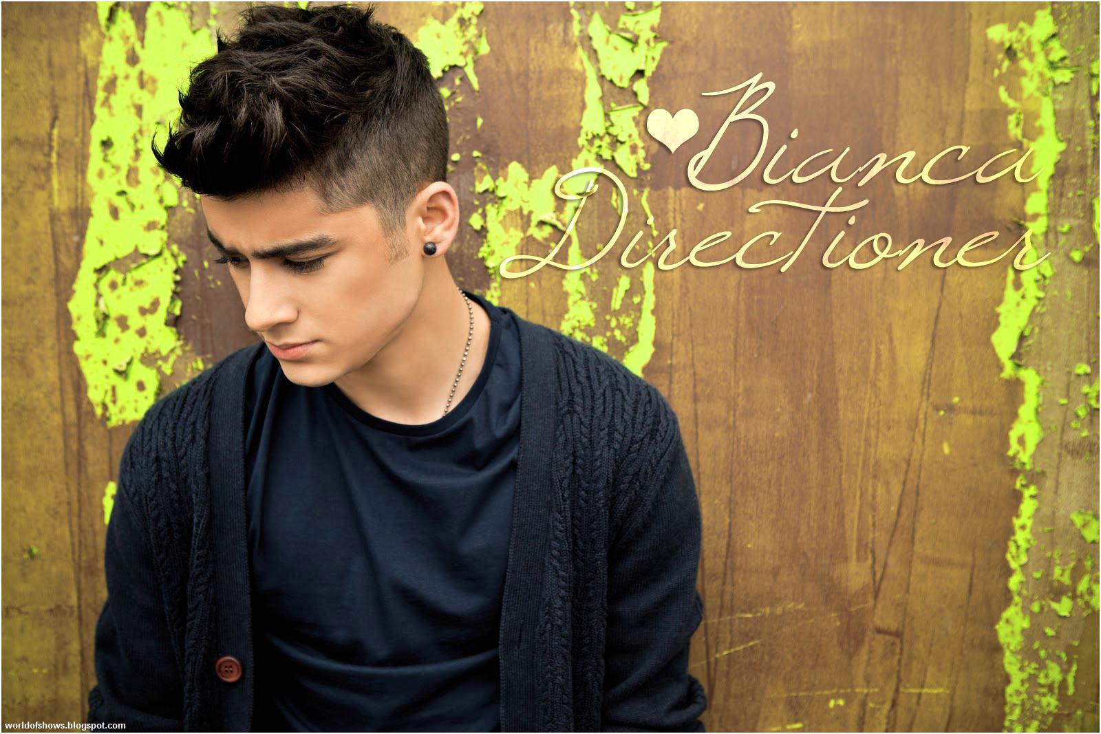 Zayn Malik One Direction Handsome Charismatic Young Star Image Gallery ...