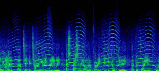 Assignment for week 1 from Introduction to Music Production