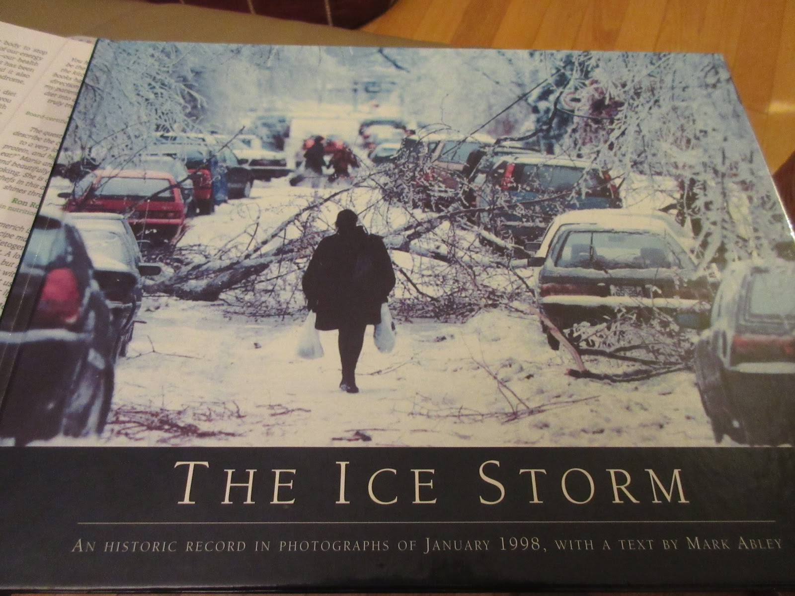 Marlene's Space: Remembering Our 1998 Ice Storm