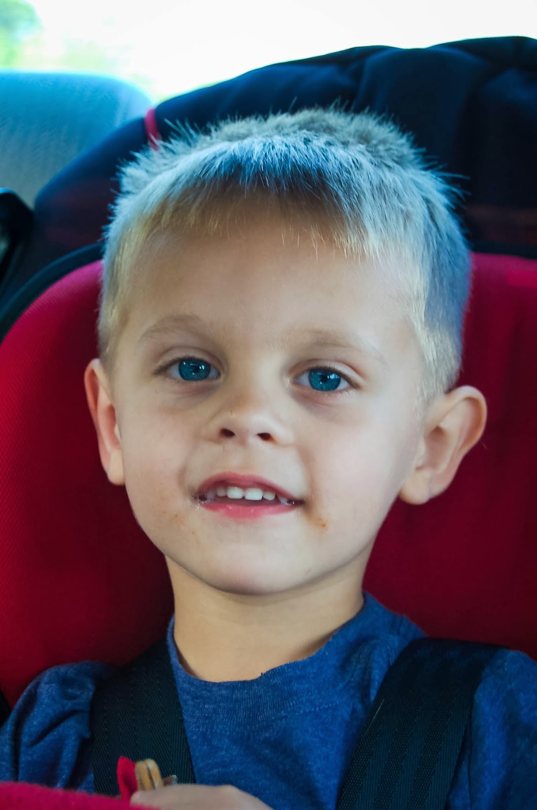 The Buddy Bee Makes Three: Buddy Bee Meets Curious George