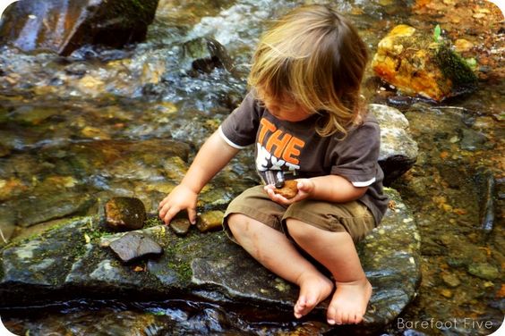 Bush Kinder: Bush Kinder - taking a step further