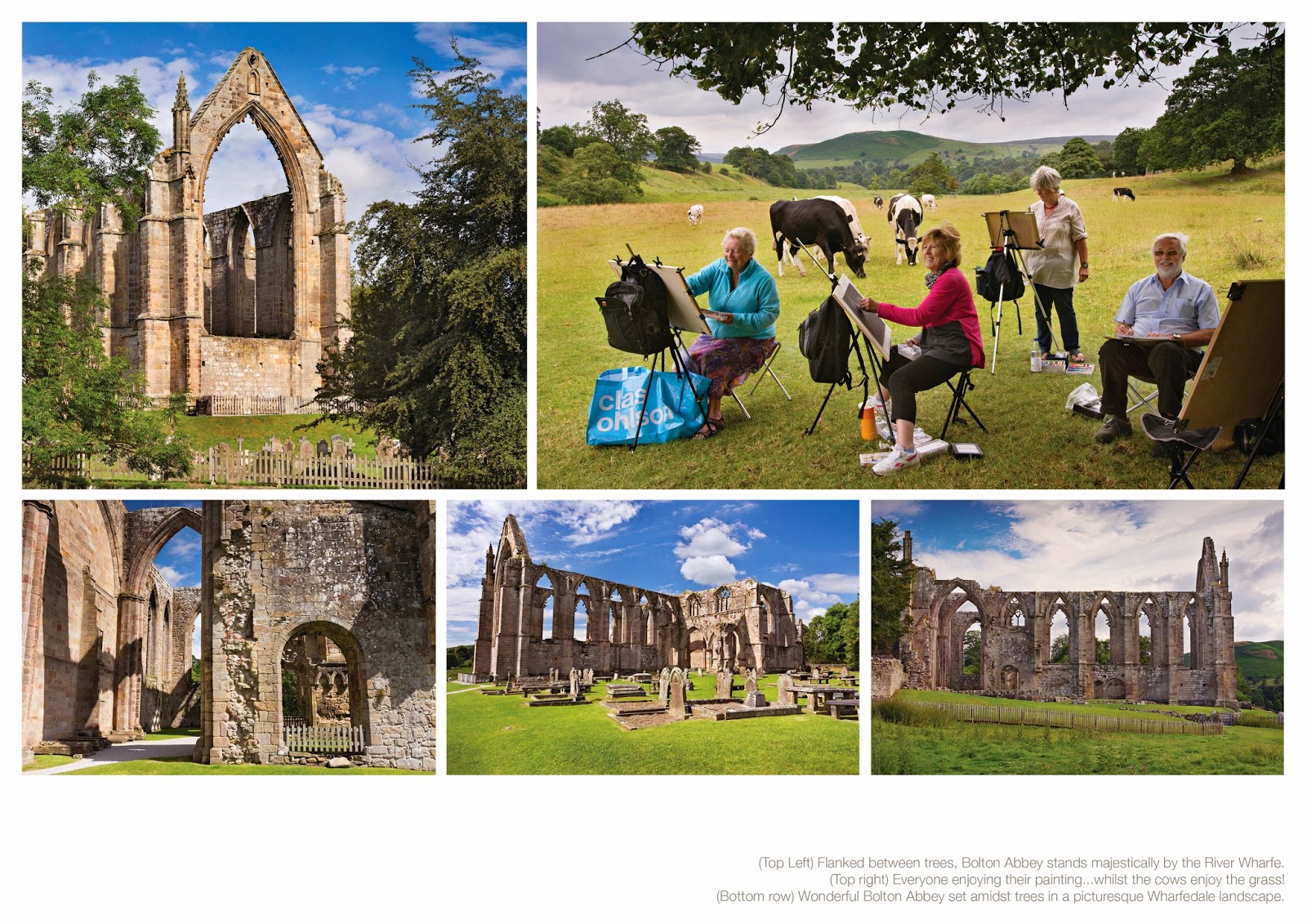 Robert Dutton Artist