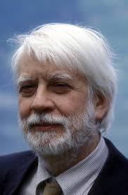 L'Olivo Saraceno : "L'iperbole" di Giovanni Raboni