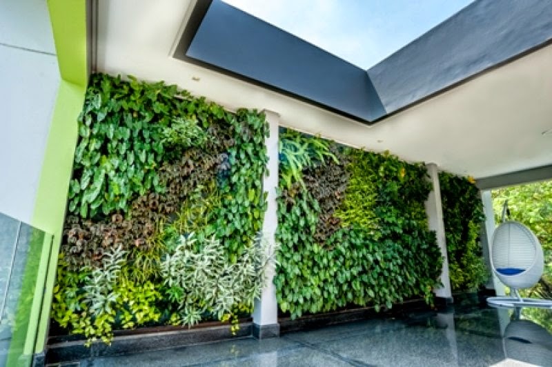 Pembuat Taman Vertikal,Vertical Garden,Taman Alternatif | Berbakat ...