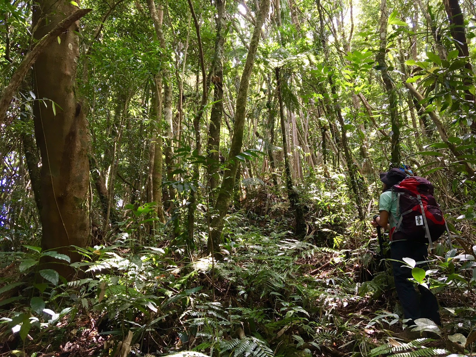 Mt. Banahaw De Tayabas