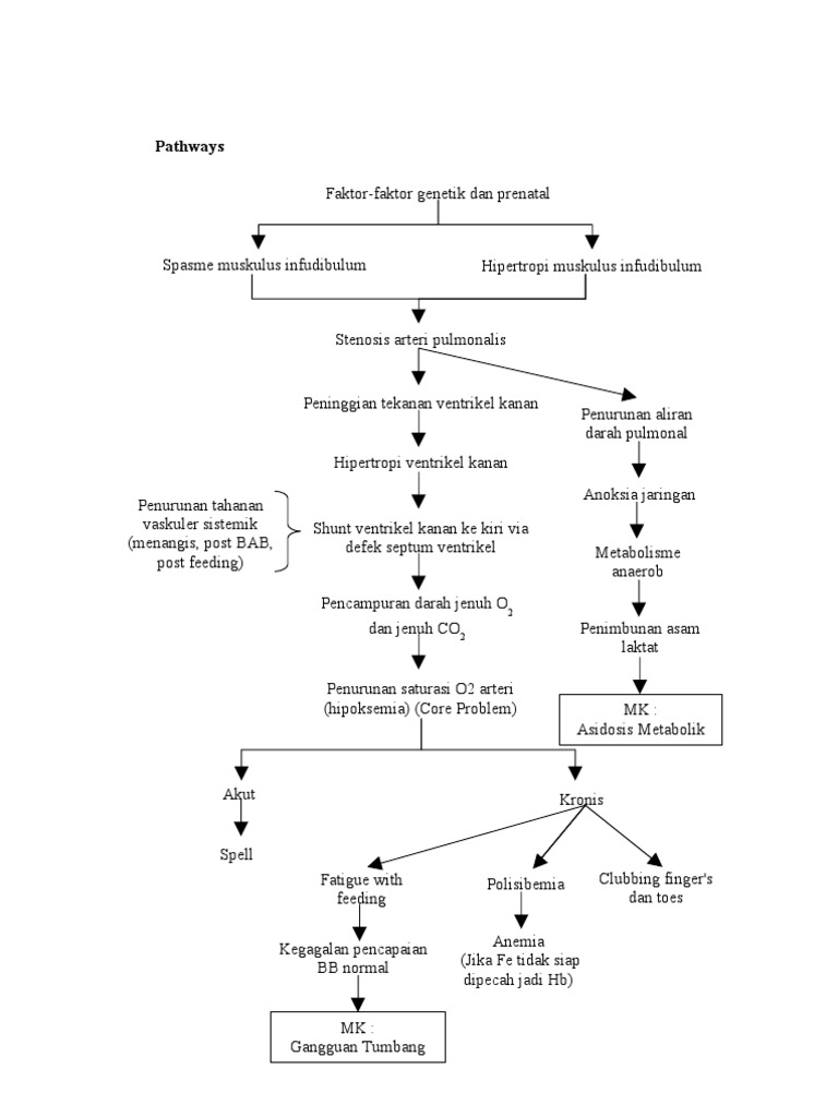 pathway hipertensi - wood scribd indo