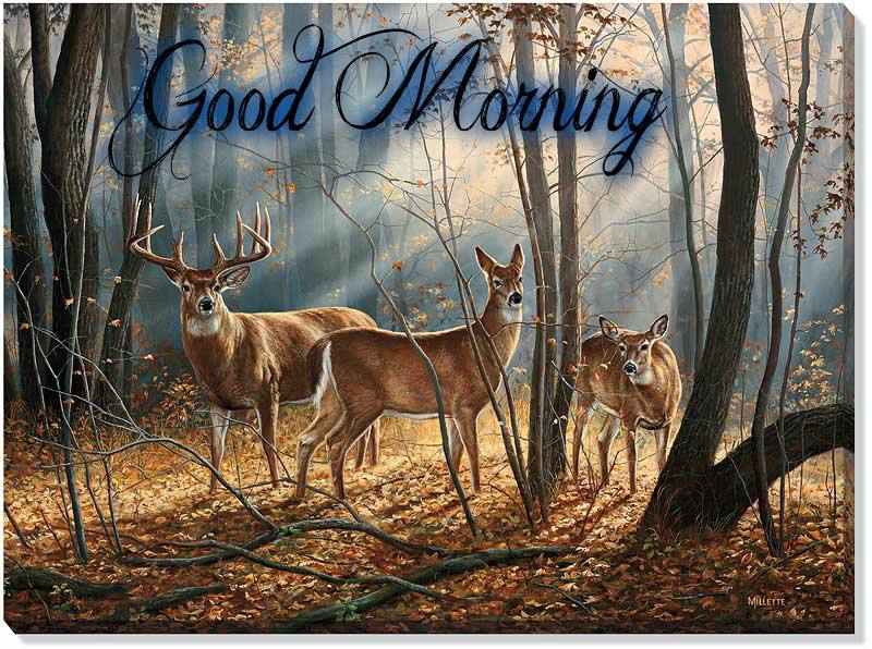 A Dixie Lady Deer Hunter: Good Morning!