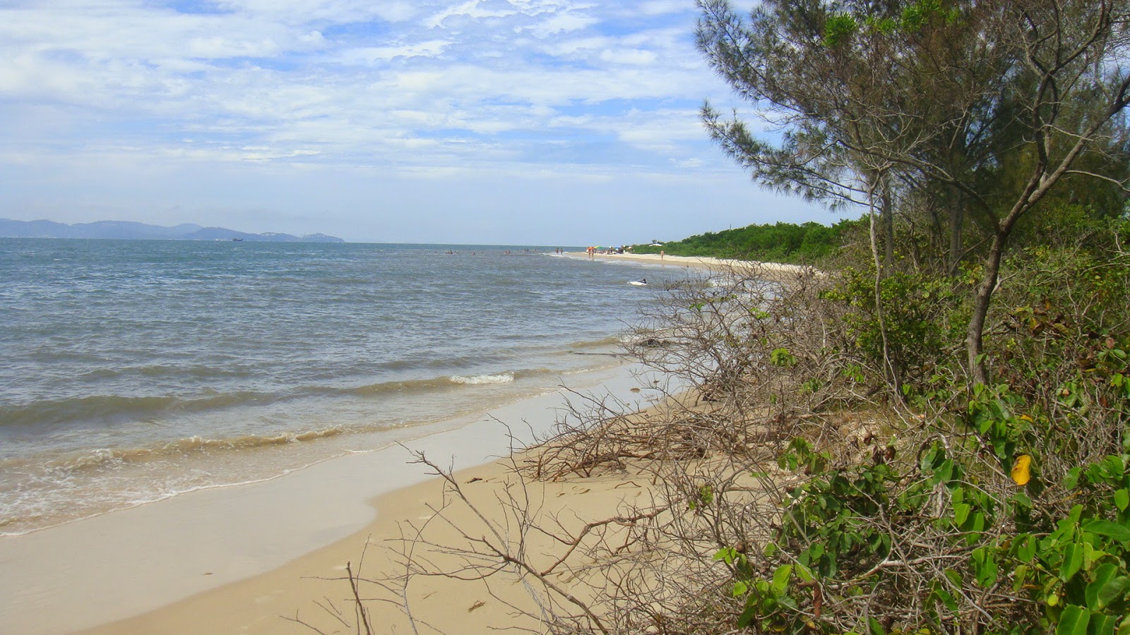TRILHAS E CAMINHOS: Praia da Daniela - Florianópolis - SC