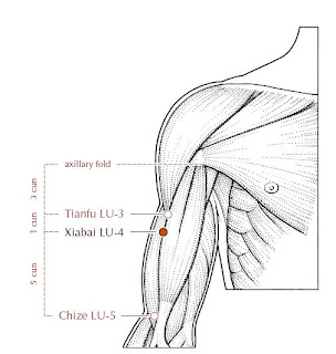 Acupuncture: LU - 4 ( LUNG-4)