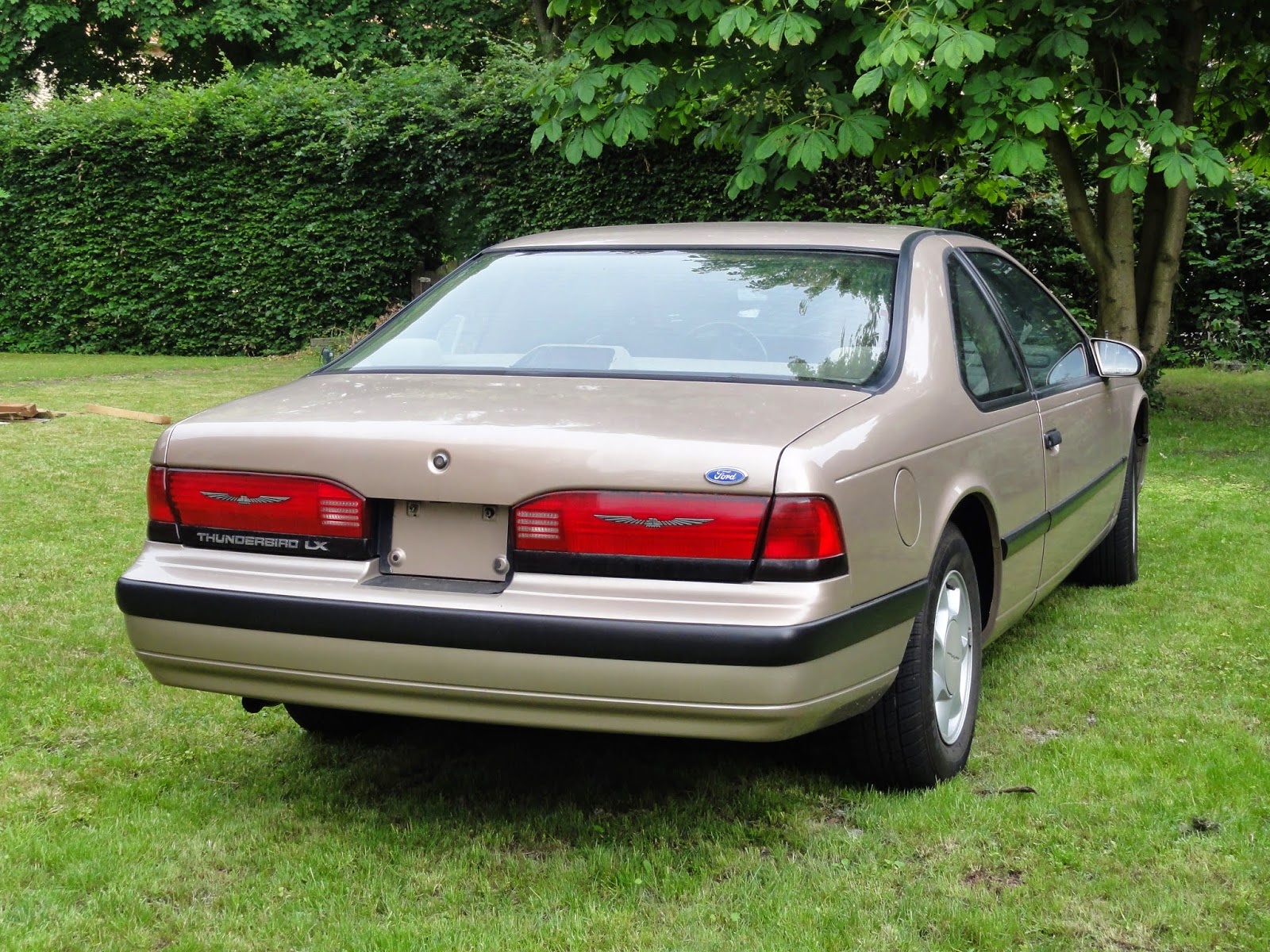 Hit & Run Magazine: Warum der Ford Thunderbird MN12 das Beste Auto der ...