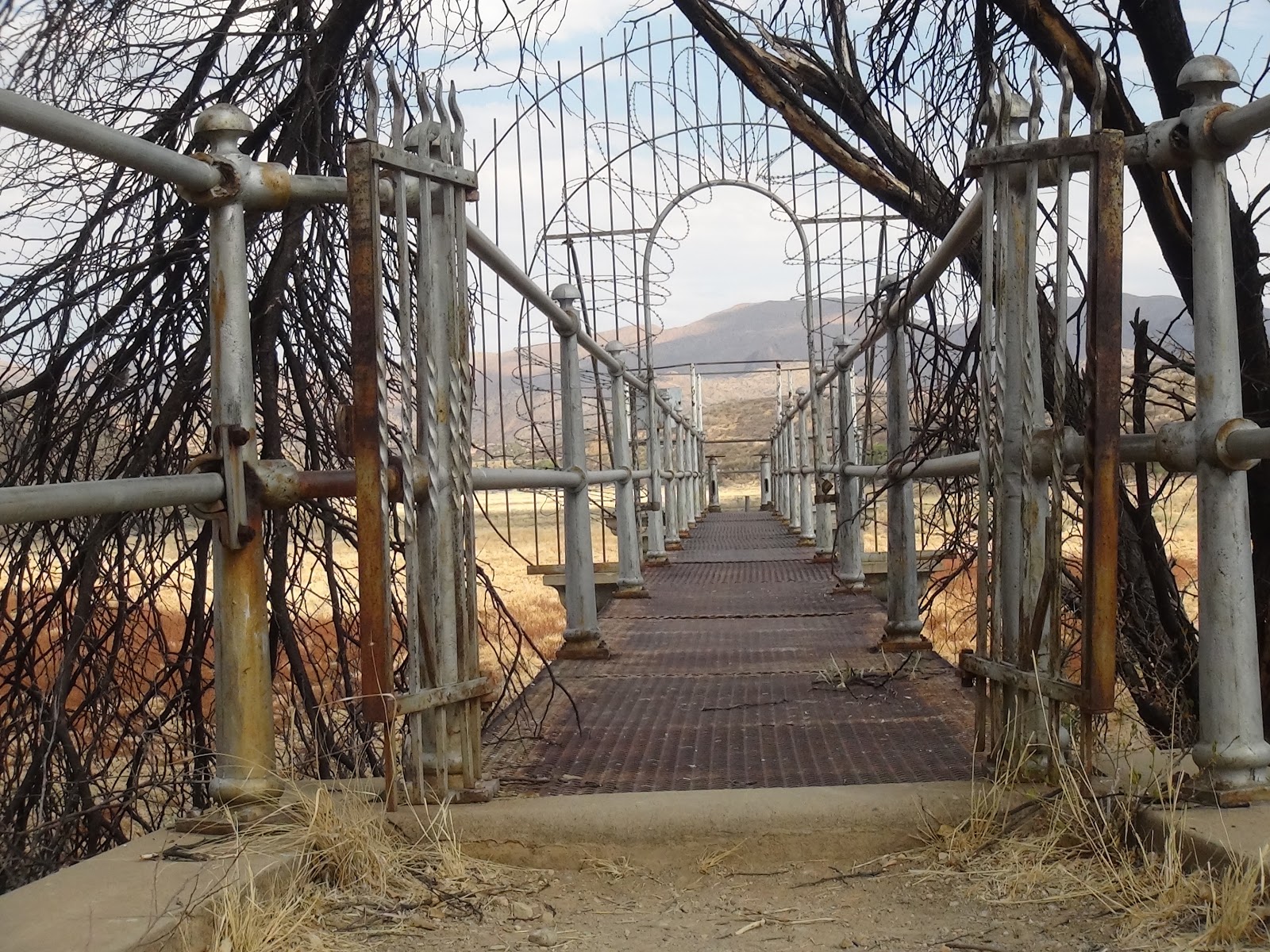 News from Southern Africa & Namibia: Namibia: Avis Dam in Windhoek ...