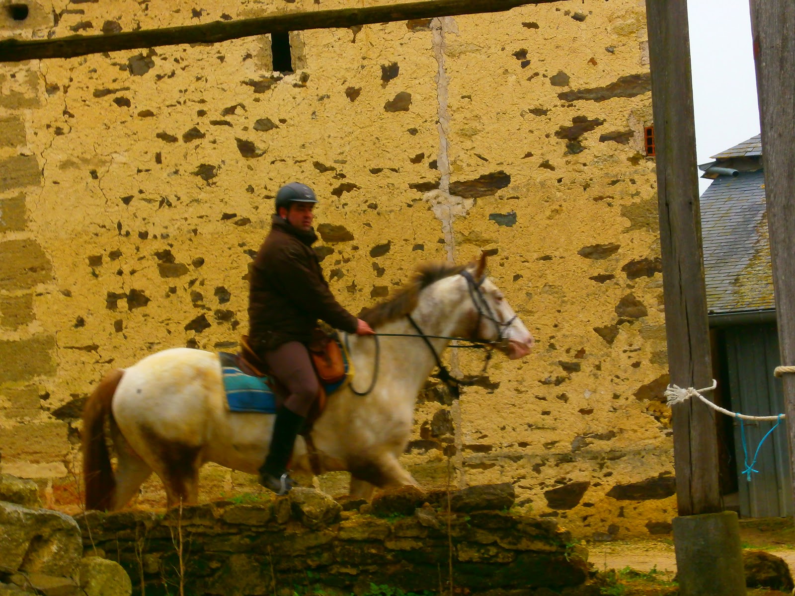 Attelages et Cavaliers des Trois Lacs: rando chez Claude Frémont le 24 ...