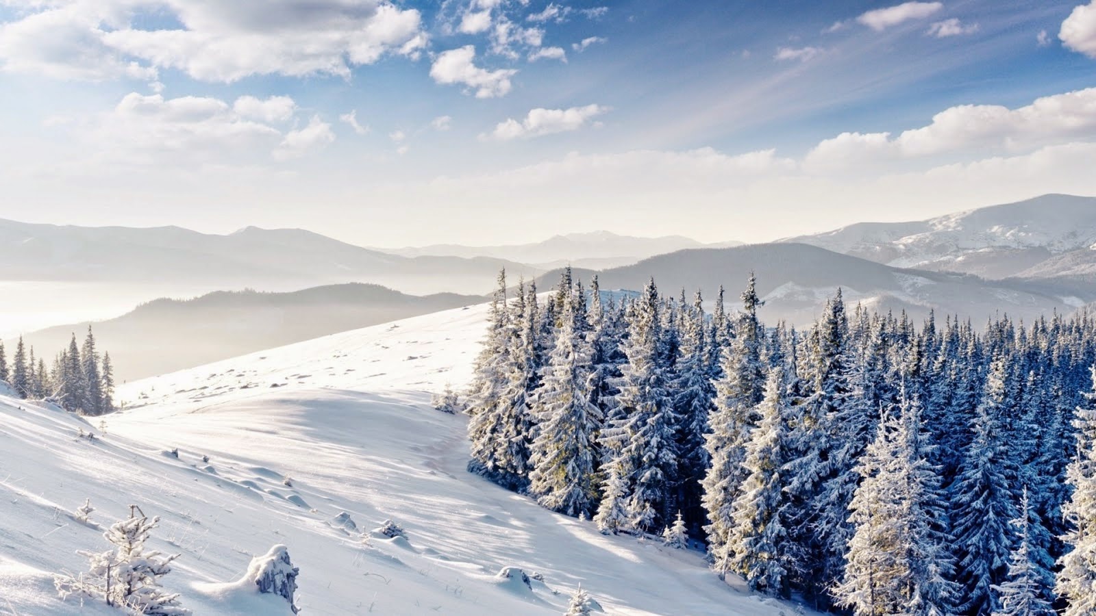 Imagenes de Invierno, parte 2 - IMÁGENES PARA WHATSAPP ® y Fotos para ...