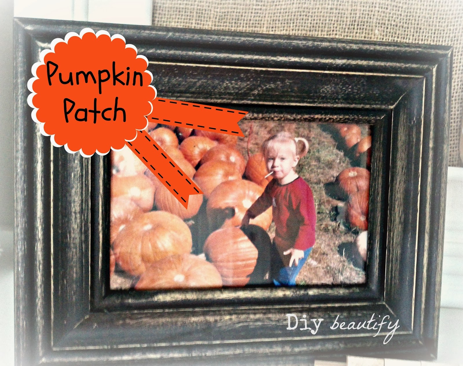 For the Love of Pumpkins - DIY Beautify - Creating Beauty at Home