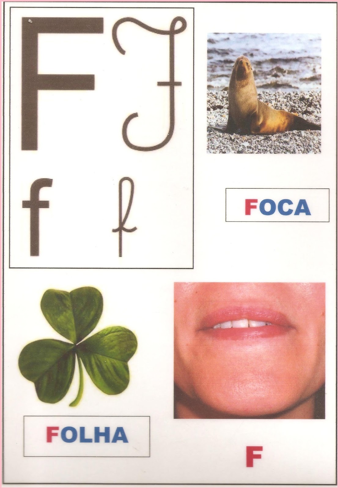 Alfabeto de Parede Método Fônico. - Aprender e Brincar