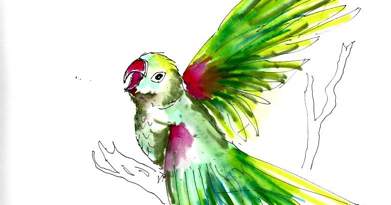 The Taranaki Sketchers: MANUTAHI MUSEUM