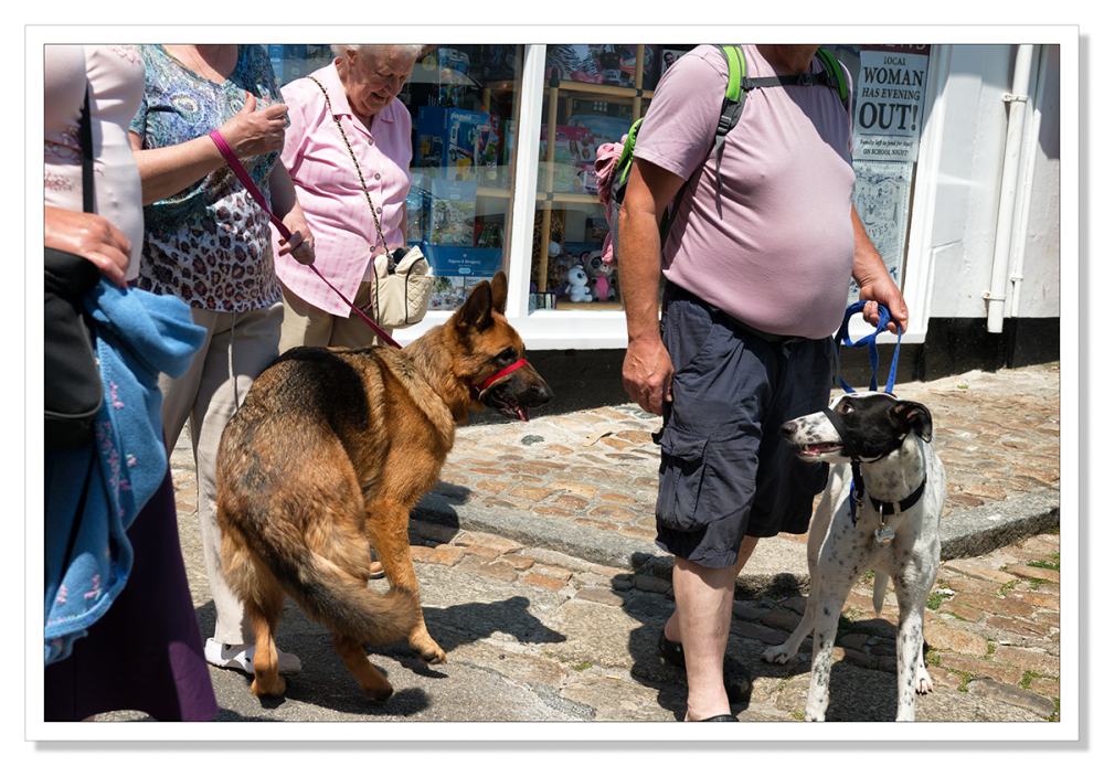 EL COR DE LES APARENCES: Las mascotas y el síndrome del domador