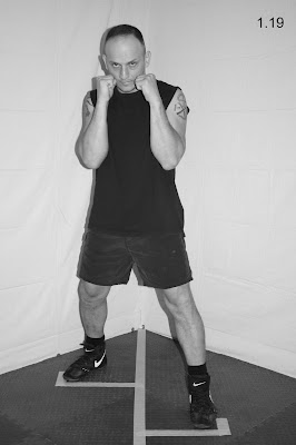 Righting Crime Fiction: A Writer's Guide to Fighting: The Fighting Stance