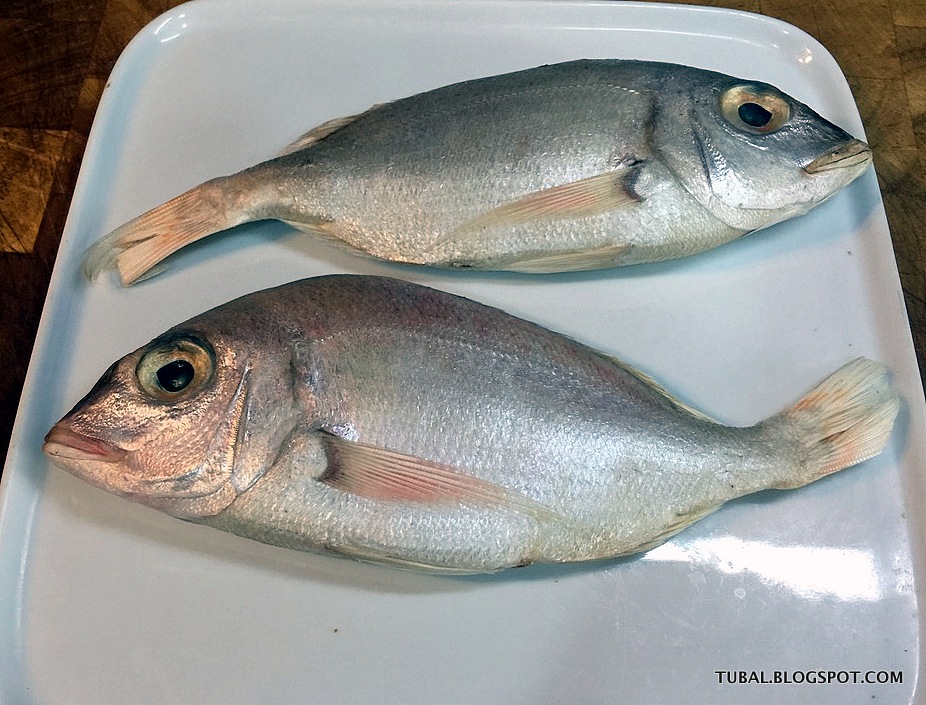 TUBAL: PARGOS FRITOS