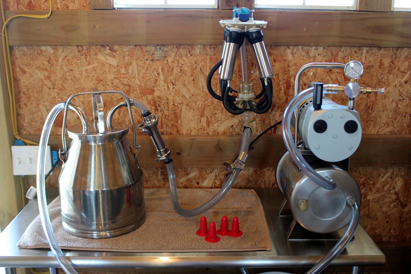 Milking Parlour Tour