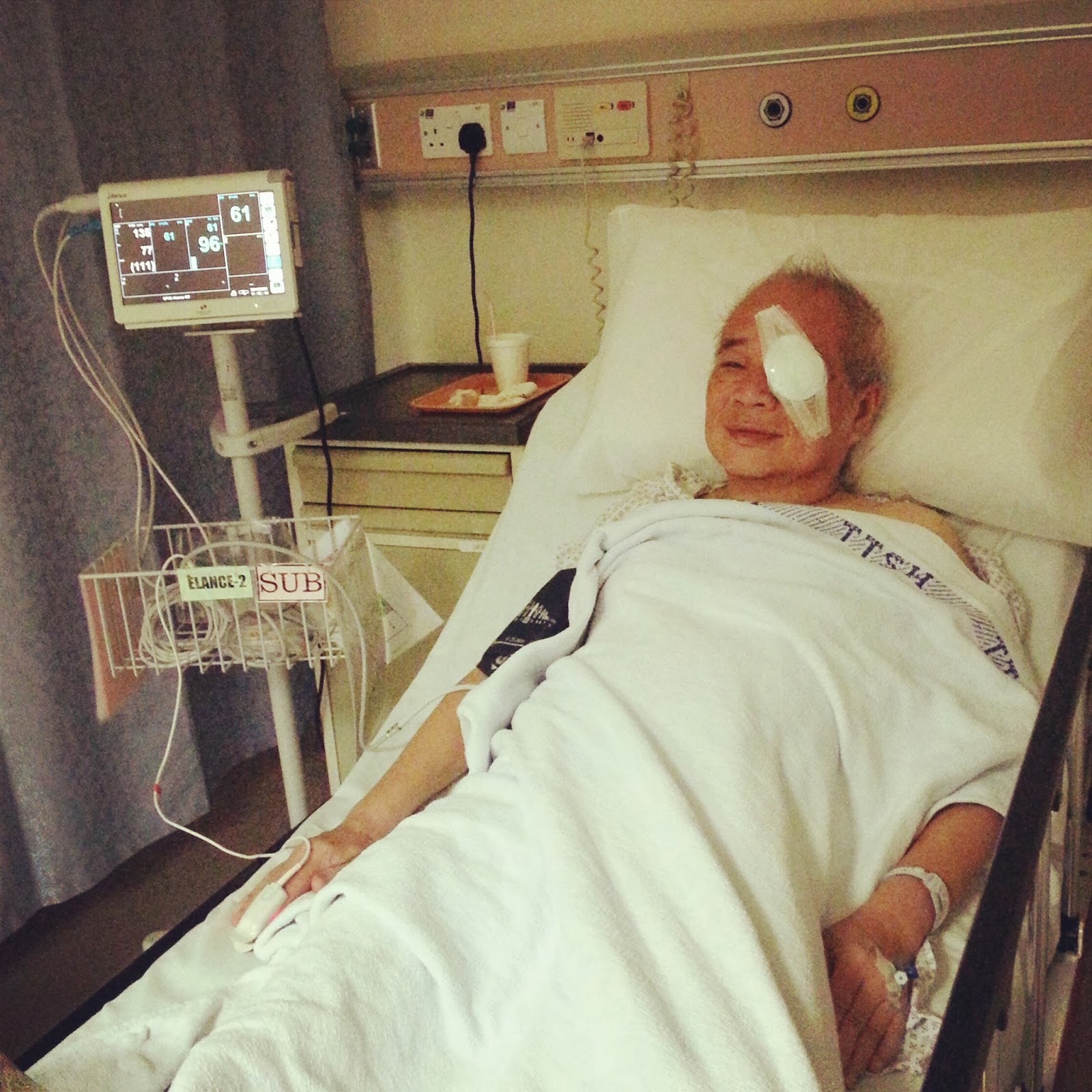 Snowfern Clover - miniature foods 1:12, 1:24 & 1:48 dollhouse scale ...