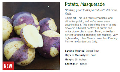 San Jacinto Community Garden: Burpee's 2013 products are available for ...