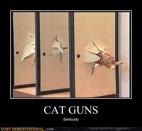 Funny Crazy Cats With Guns | Crazy Cats