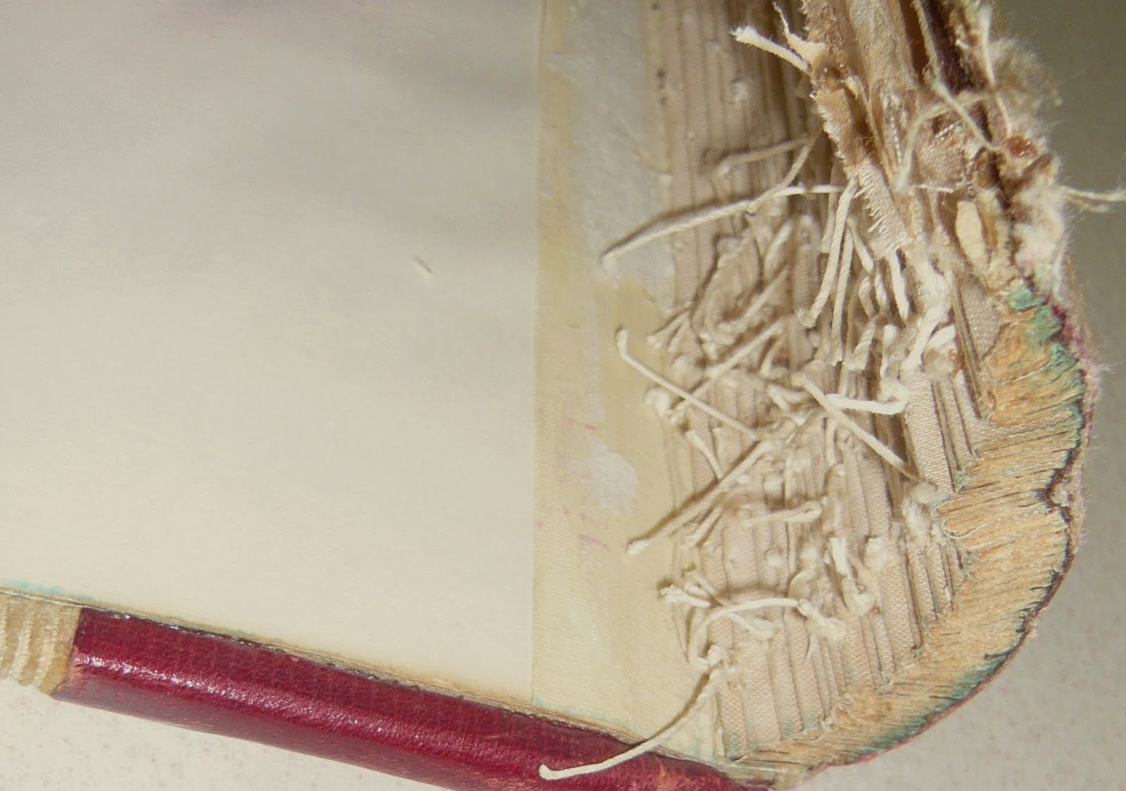 The Gilded Leaf: Fine Bookbinding & Restoration: An Unusual Ledger ...