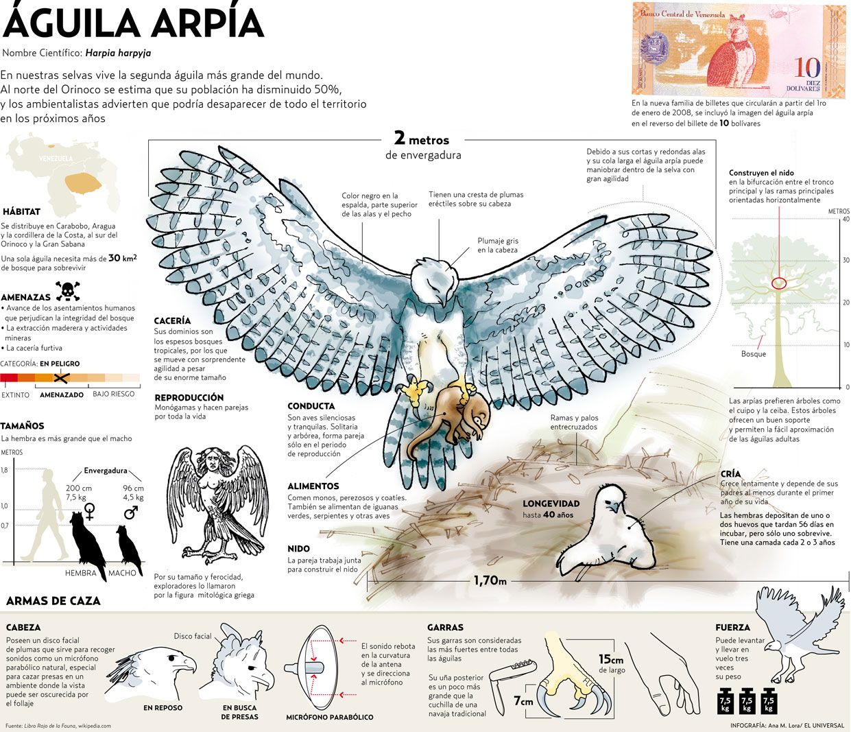 Rosme feler: La arpía de latino américa