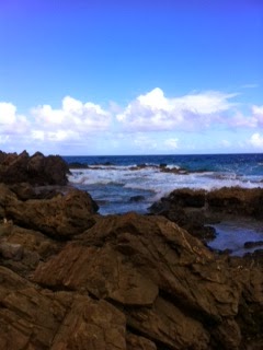 Our Visit to St. Croix: Maroon Ridge Hike