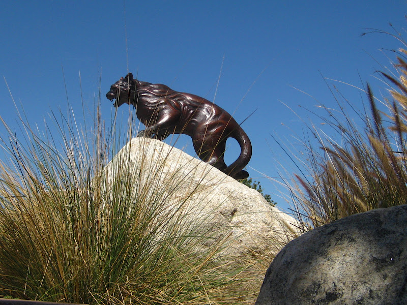 REVHSPhotography2013: Alexis Merrill